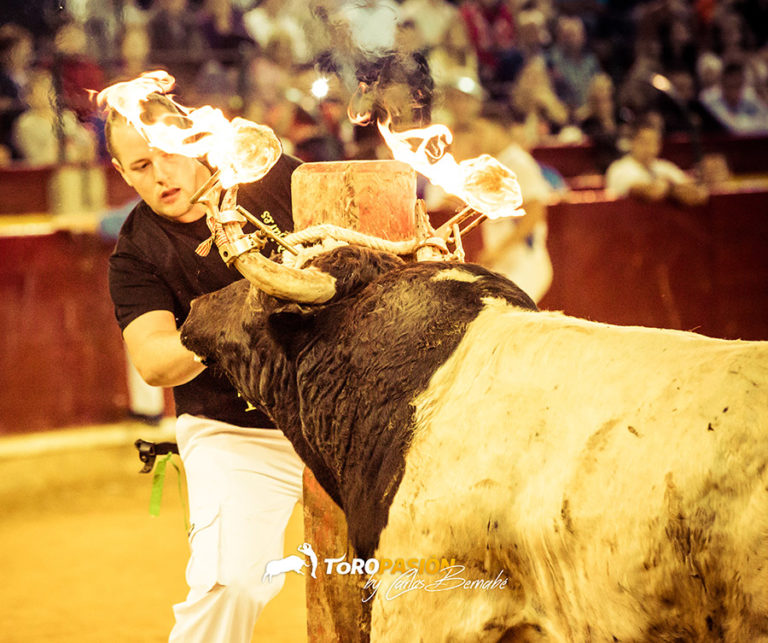 Las figuras del recorte y los toros embolados regresan este sábado 12 ...